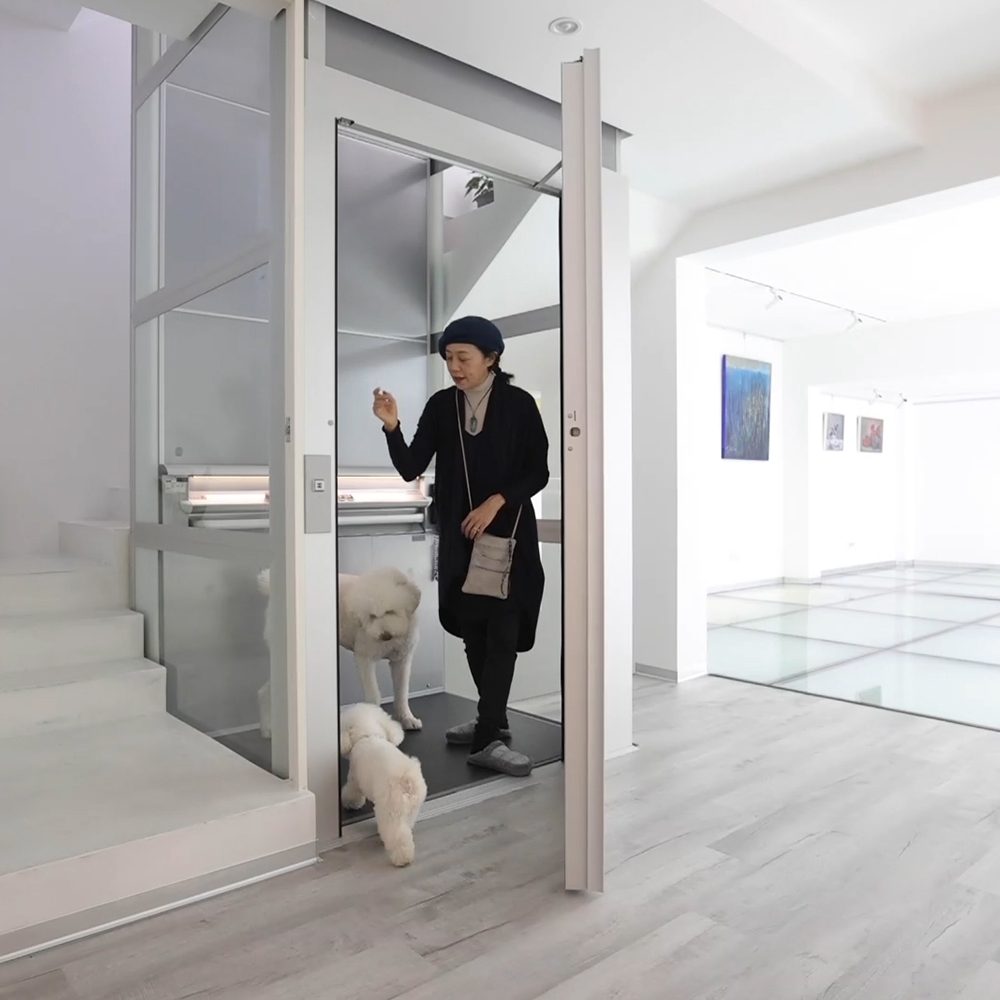 Public lifts - Ready-made public & commercial lifts - Kalea